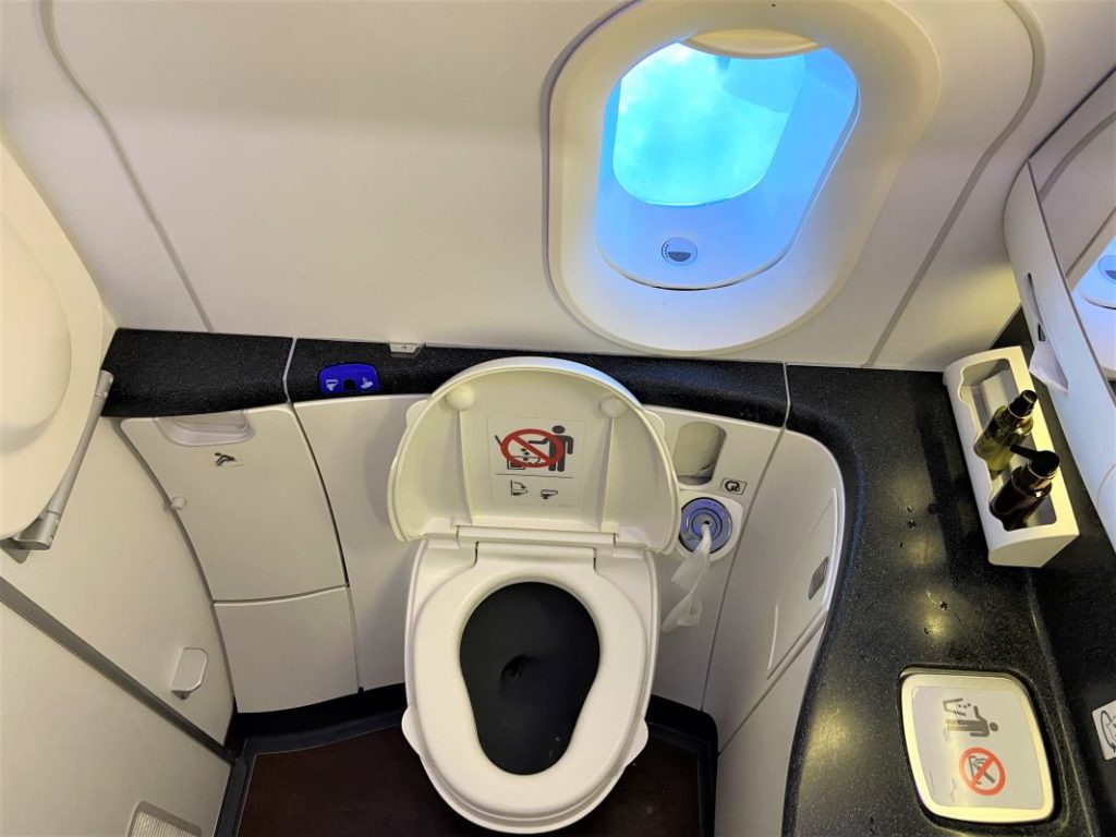 Review: Qatar Airways 787 Dreamliner business class Doha to Dublin ...