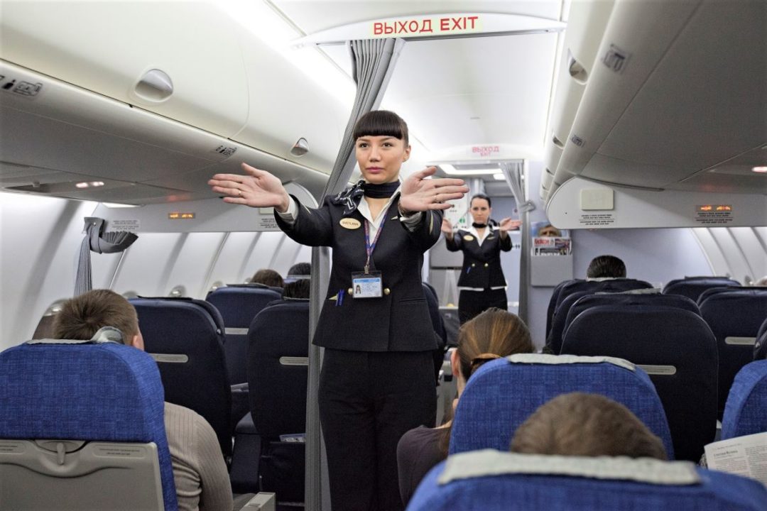 So, is the job title steward and stewardess, flight attendant, or cabin ...