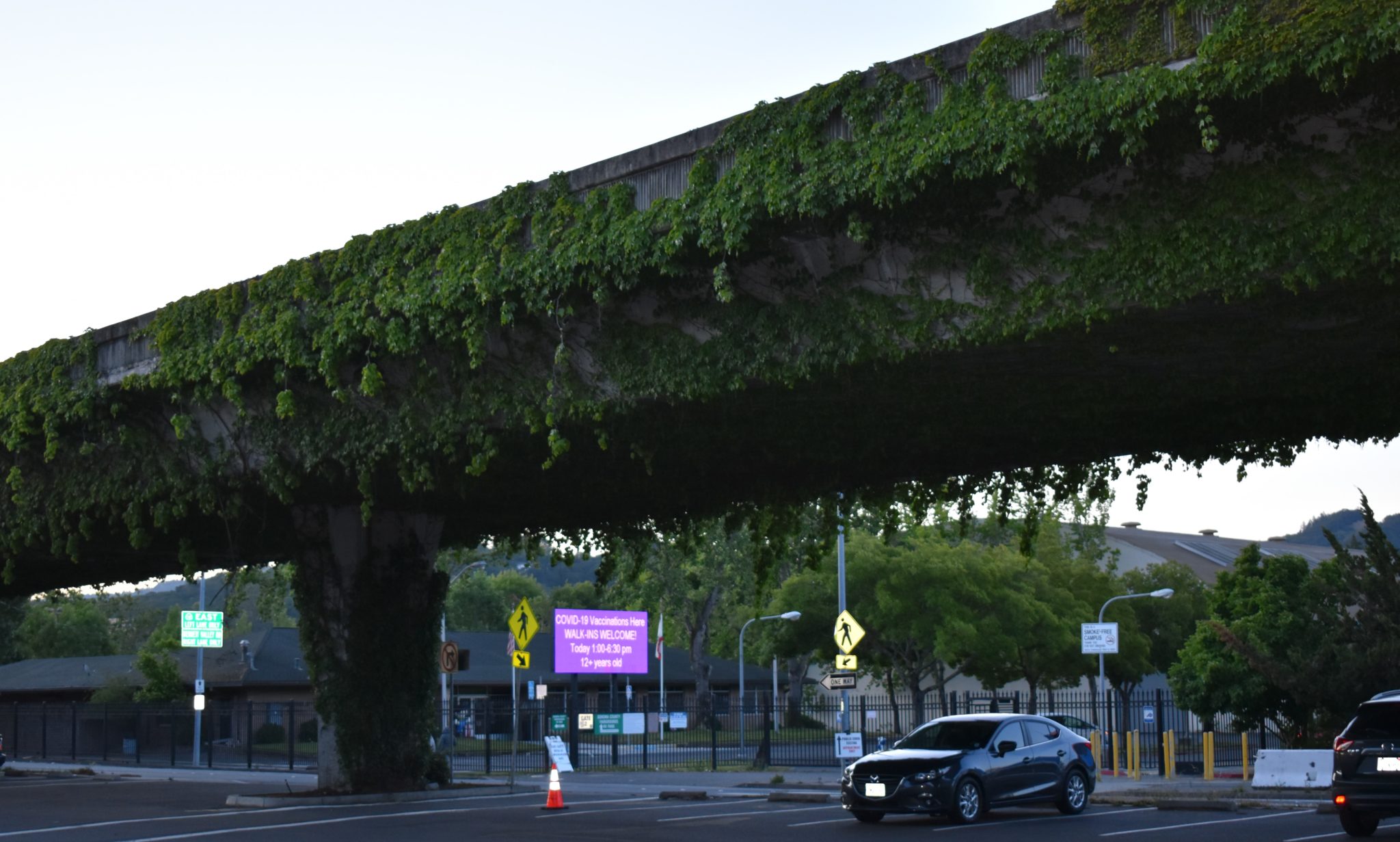 Sonoma County Airport Express Review: Bus Option for SFO/OAK Flights