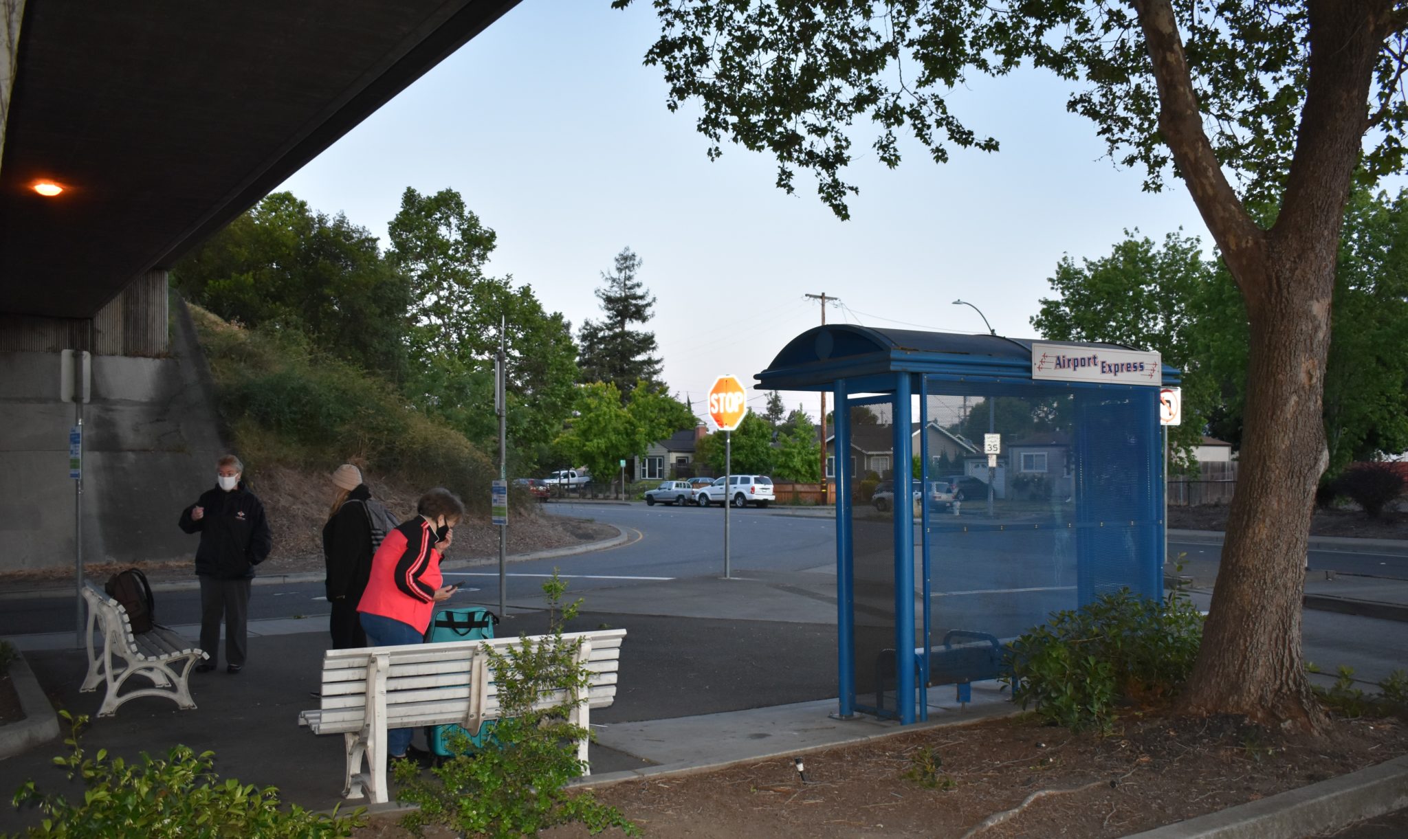 Sonoma County Airport Express Review: Bus Option for SFO/OAK Flights