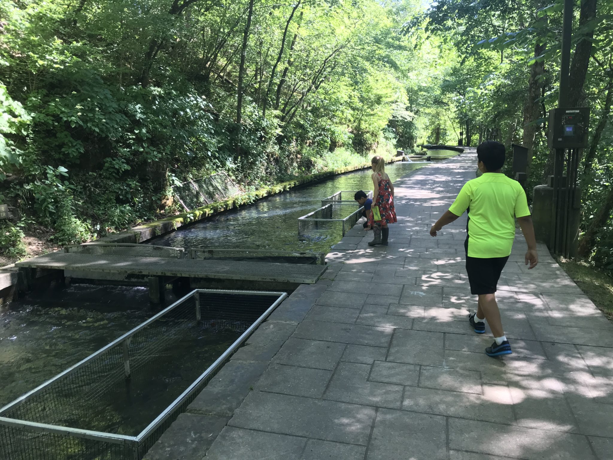 Maramec Spring Park Missouri: A Striking Natural Wonder - TravelUpdate