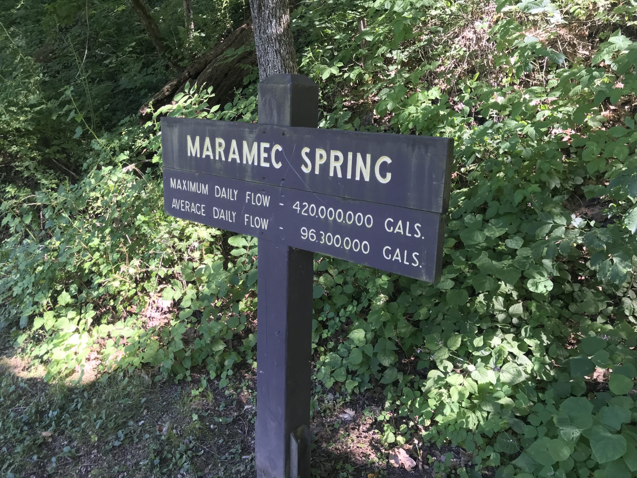 Maramec Spring Park Missouri: A Striking Natural Wonder - TravelUpdate