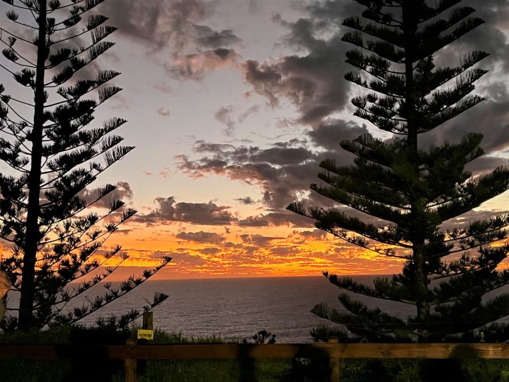 Wondering what Norfolk Island is like to visit? Here are 20 pictures ...