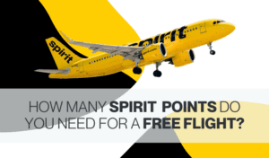 How Many Spirit Points Do You Need for a Free Flight? - TravelUpdate