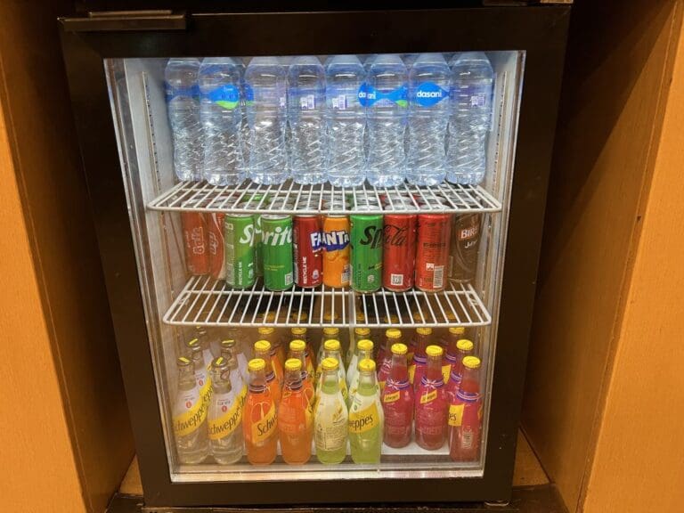 Review: The Ahlein Premium Lounge at Cairo Terminal 2 - TravelUpdate